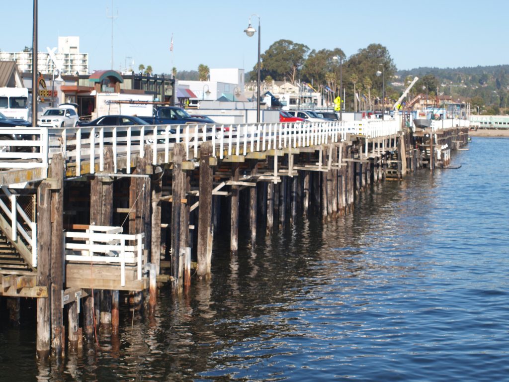 Santa Cruz Wharf - Pier Fishing in California