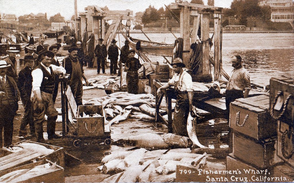 Santa Cruz _Old wharf_Fish_1912 - Pier Fishing in California