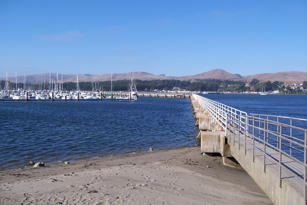 Spud Point Marina Pier — Bodega Bay - Pier Fishing in California