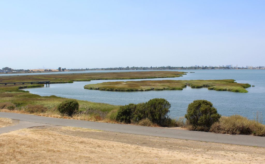 Arrowhead Marsh Pier — Oakland - Pier Fishing in California