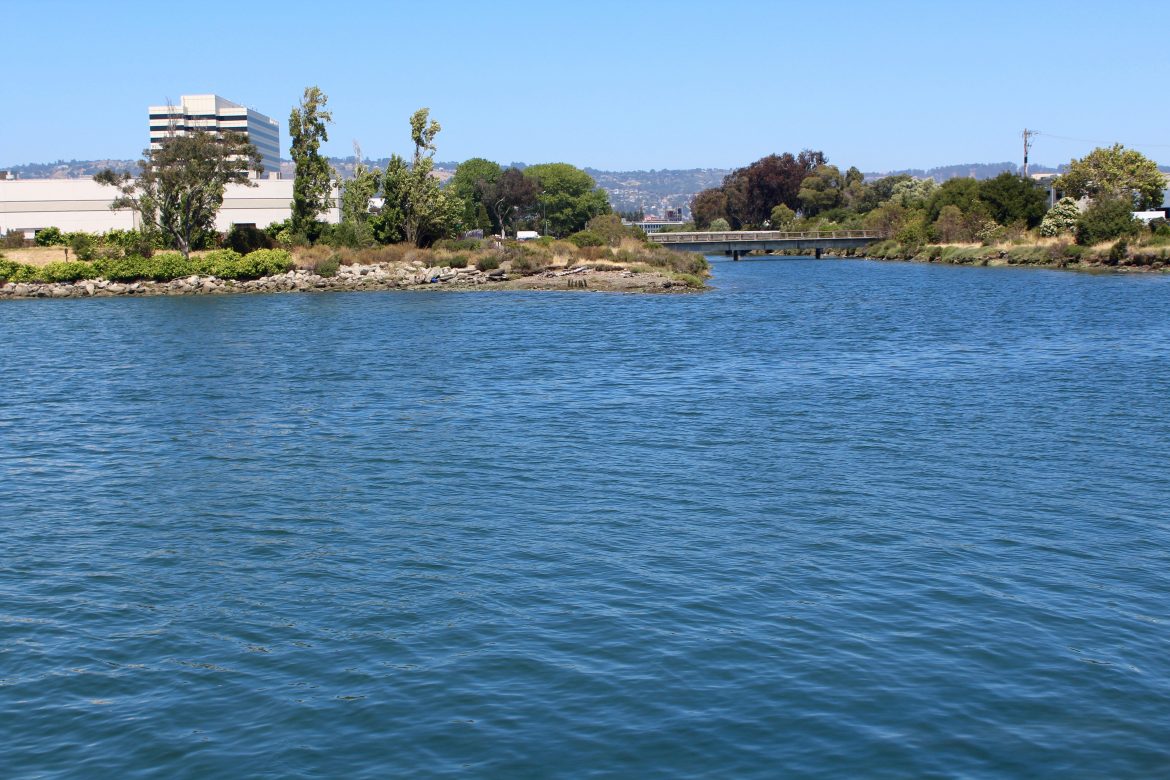Arrowhead Marsh Pier — Oakland - Pier Fishing in California