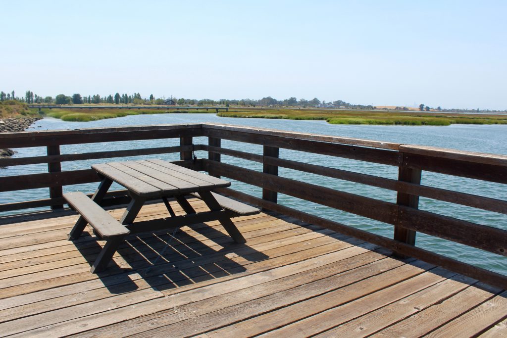 Arrowhead Marsh Pier — Oakland - Pier Fishing in California
