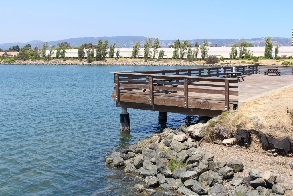 Arrowhead Marsh Pier — Oakland - Pier Fishing in California