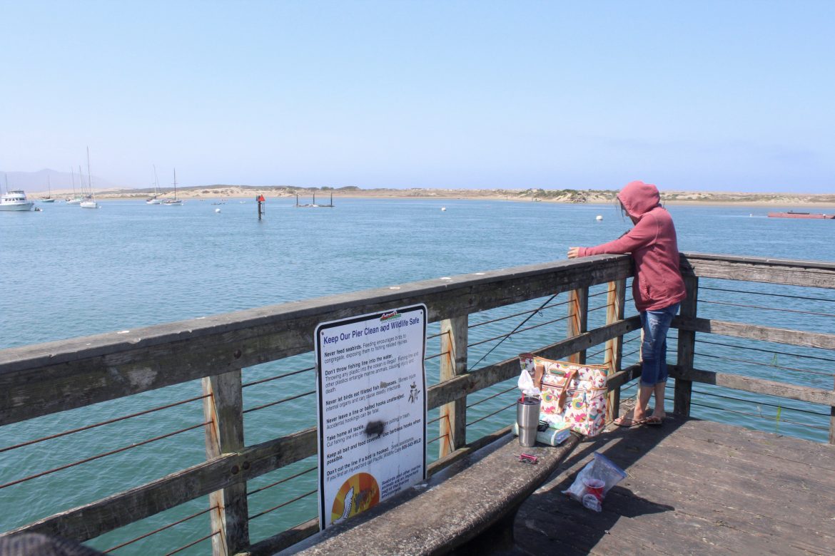 Morro Bay Finger Piers - Pier Fishing in California