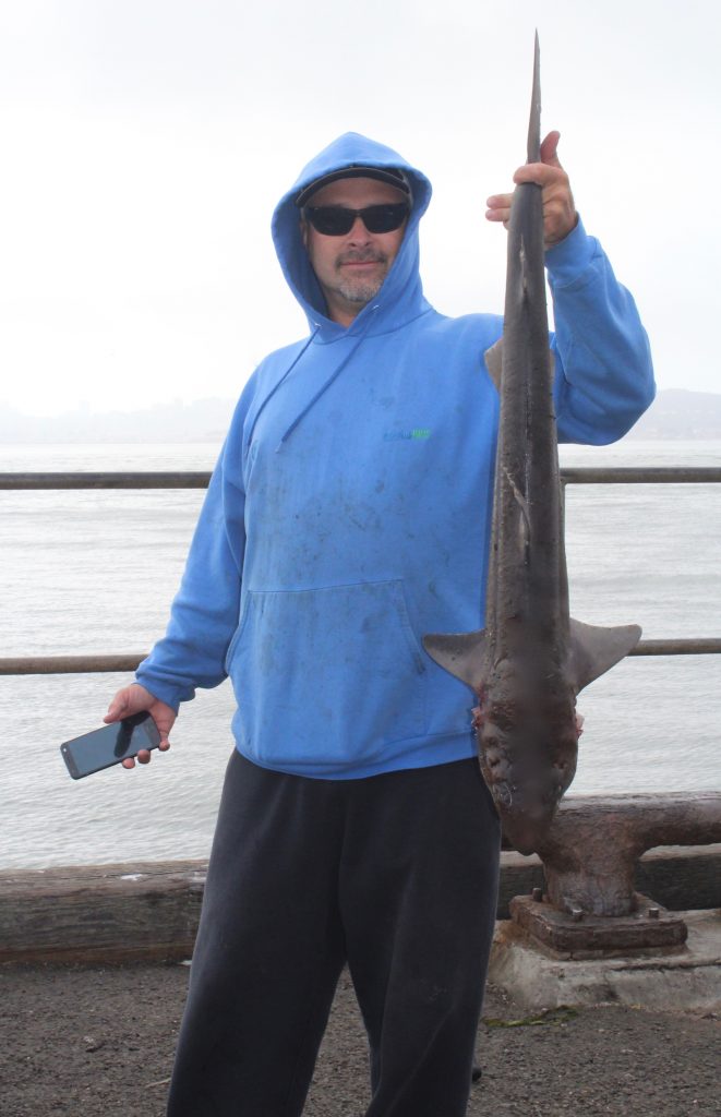 Fort Baker Pier — Sausalito - Pier Fishing in California