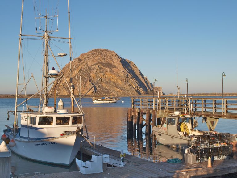 Morro Bay Finger Piers - Pier Fishing in California