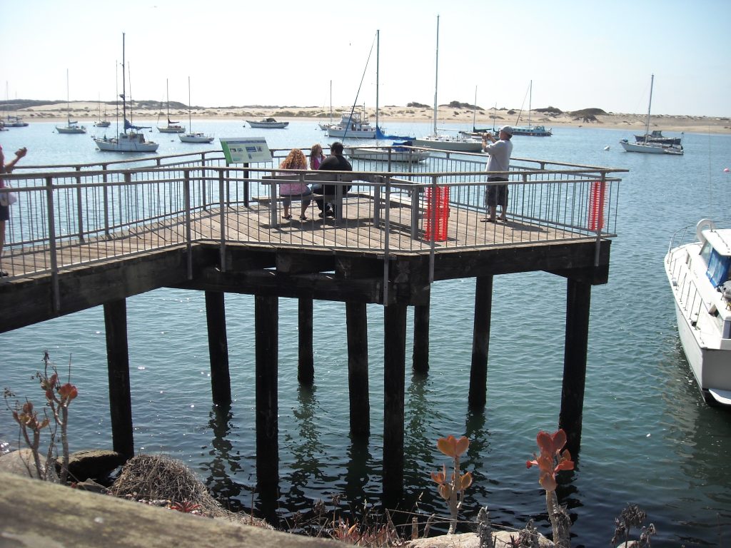 Morro Bay Finger Piers - Pier Fishing in California