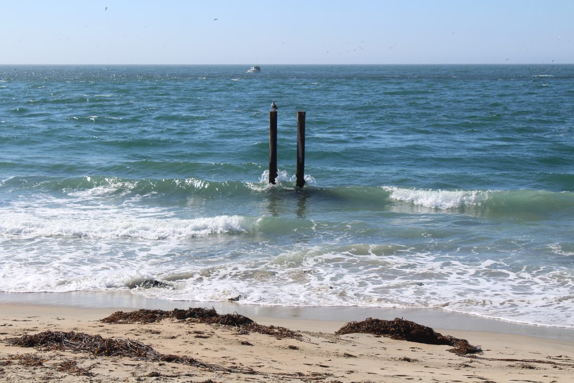 Moss Landing Pier aka Sandholdt Pier — Gone But Not Forgotten - Pier ...