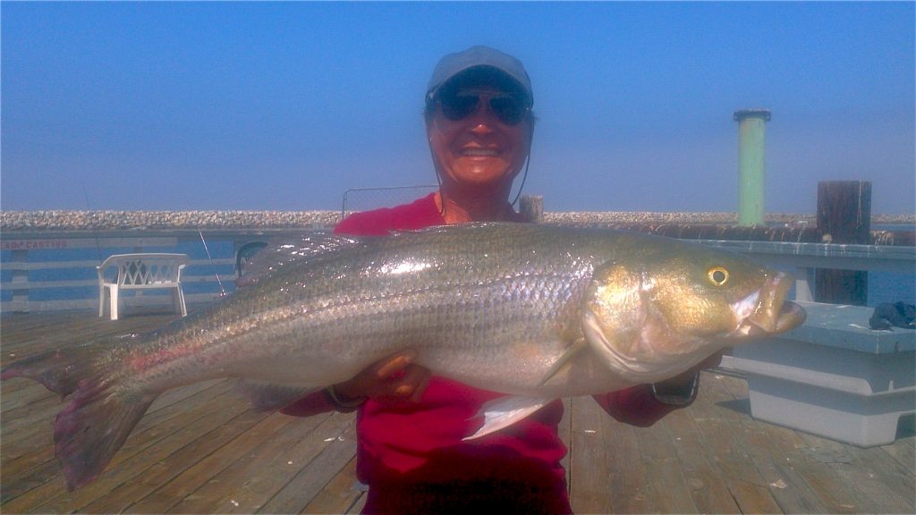 Redondo Sportfishing Pier — King Harbor — Redondo Beach — Gone But Not ...