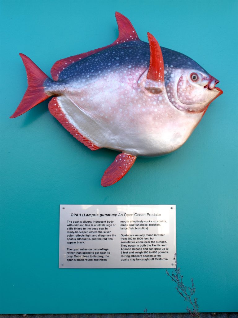 Cabrillo Pier — San Pedro - Pier Fishing in California