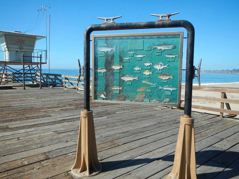 Seacliff State Beach Pier — Aptos - Pier Fishing in California