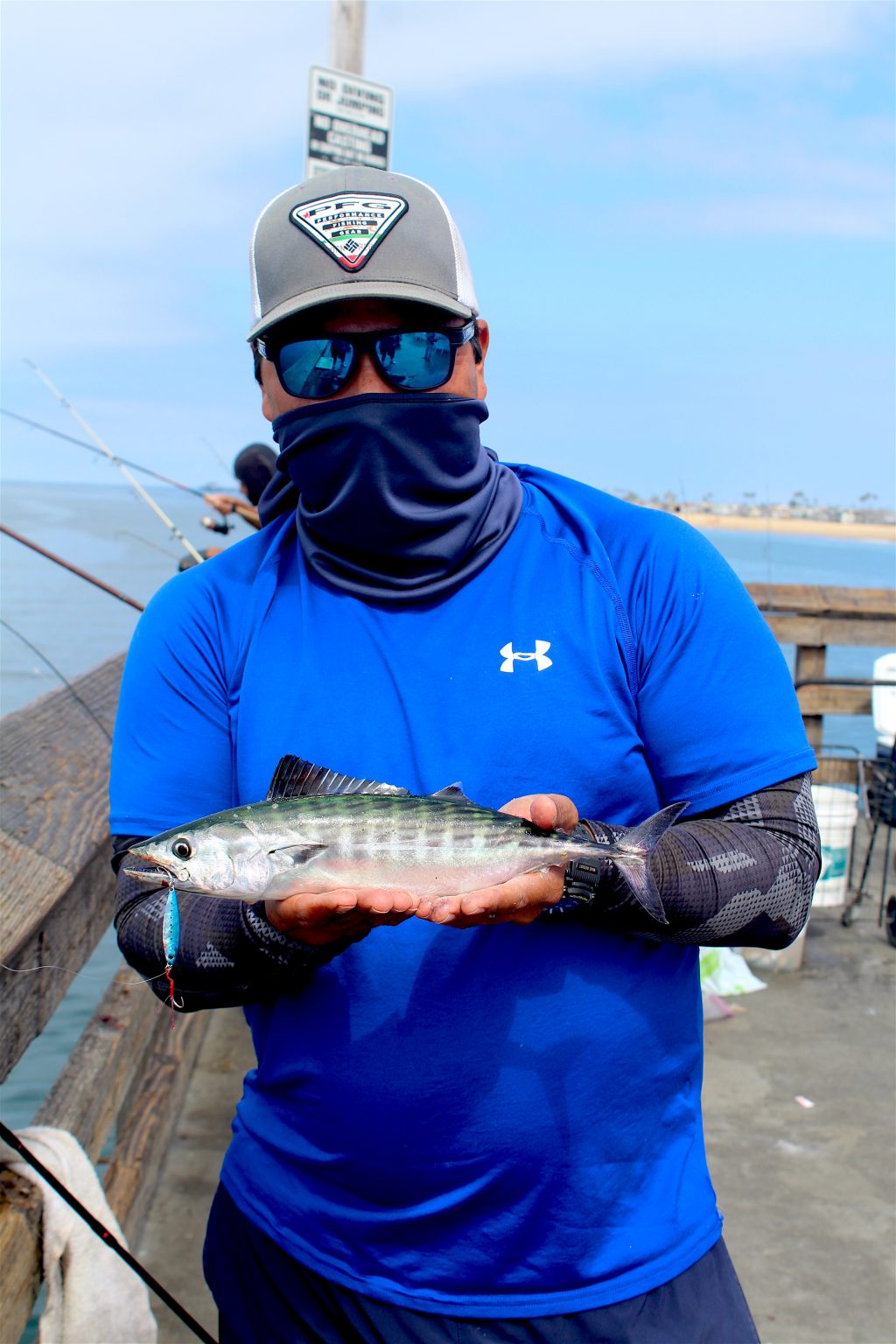 Pacific Bonito - Pier Fishing in California