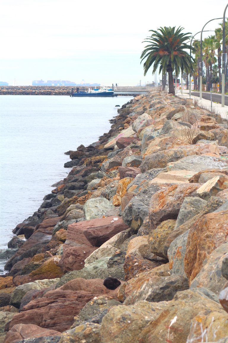 Pier J Fishing Pier(s) — Long Beach - Pier Fishing in California