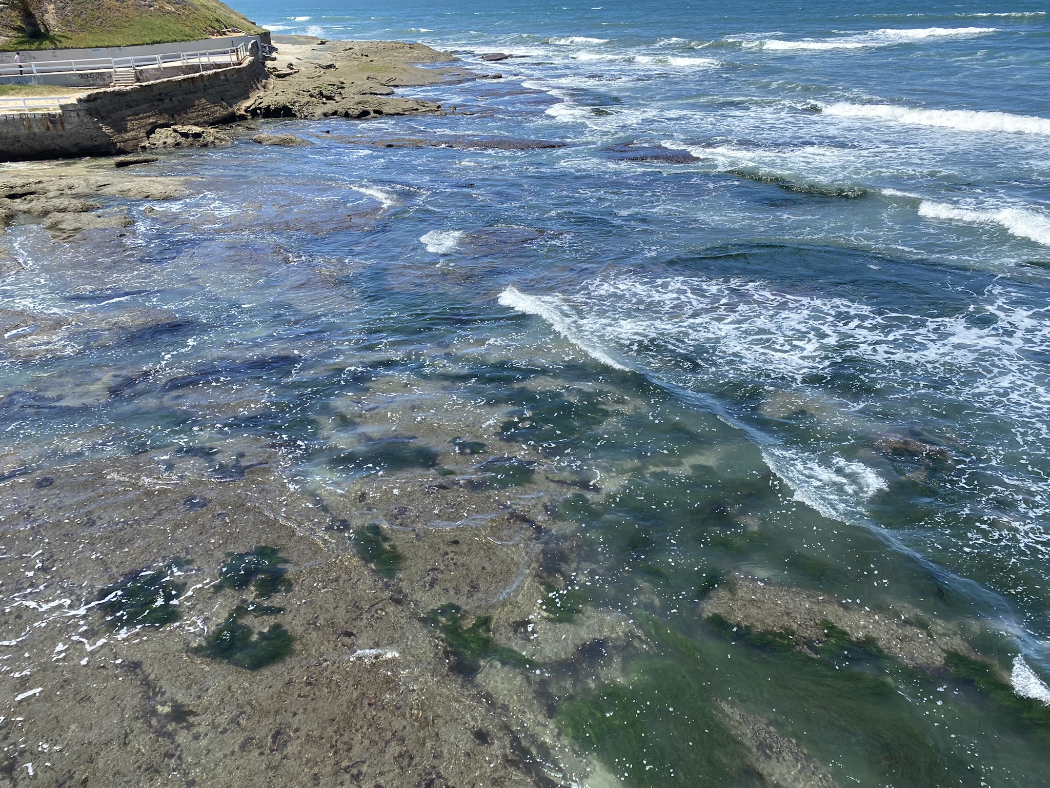 Ocean Beach Pier (2) - Pier Fishing in California