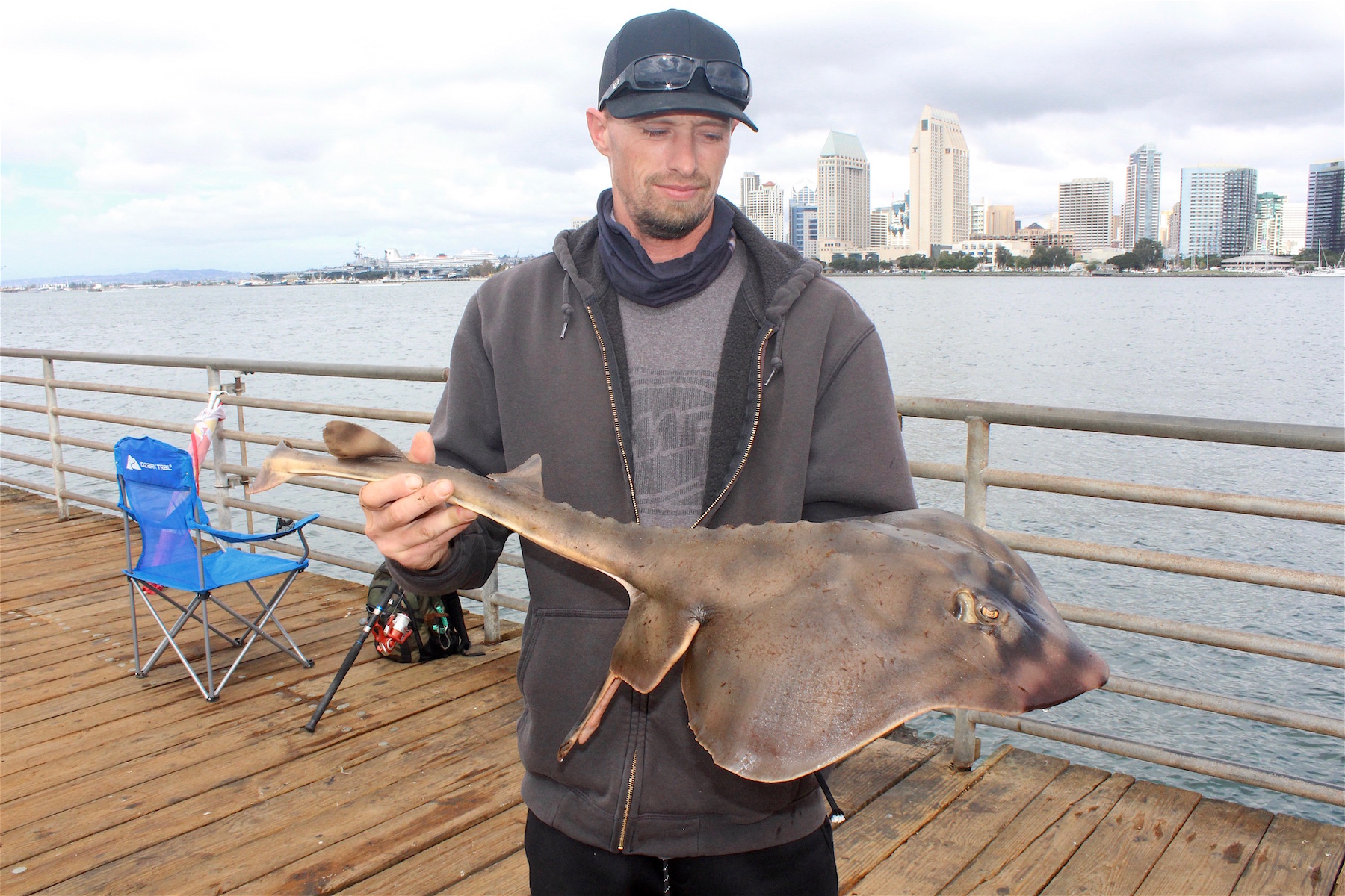 Shovelnose Guitarfish - Pier Fishing in California