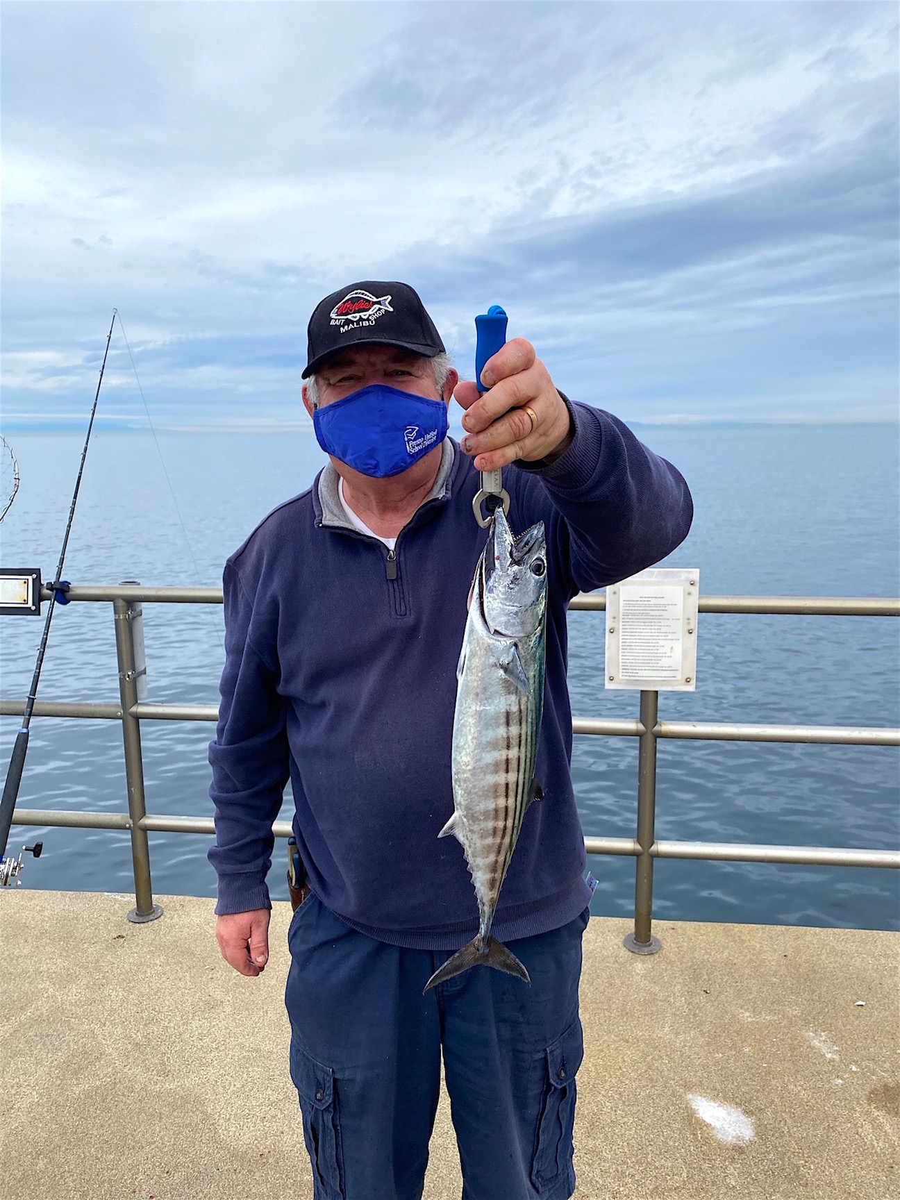 Pacific Bonito - Pier Fishing in California